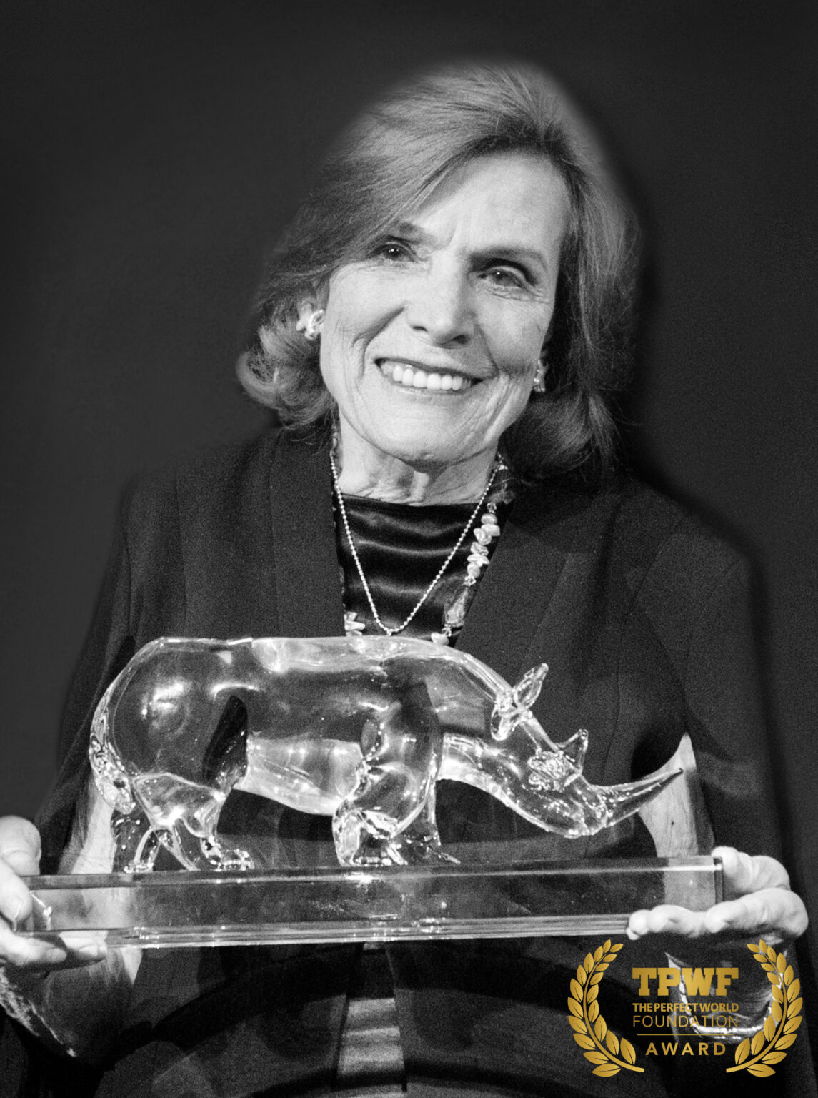 Dr Sylvia Earle – The Perfect World Foundation Award
